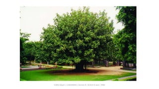Sanskriti Kendra | PPTX