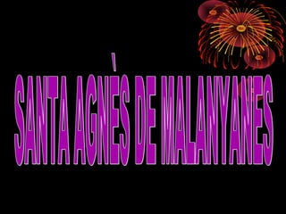 Santa agnès | PPT