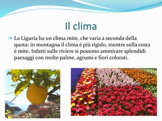 Santarnecchi liguria | PPTX