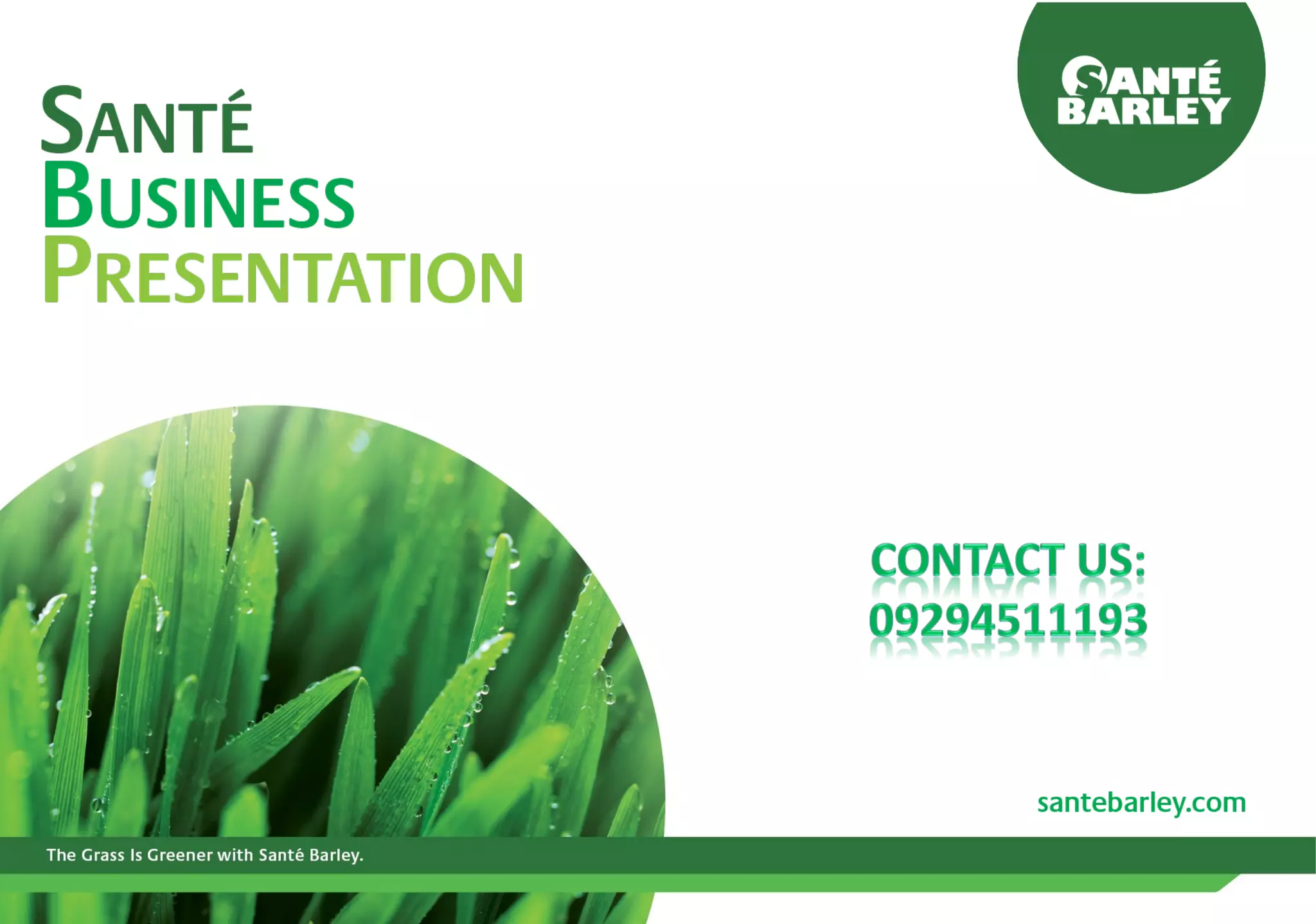 Sante Barley Business Presentation 2014 | PPT