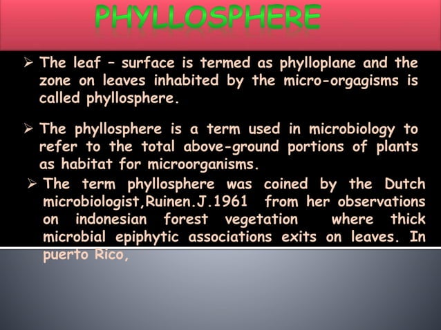 Santhakumar phyllosphere | PPTX | Gardening | Home & Garden