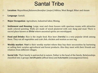 Santal Tribe | PPTX