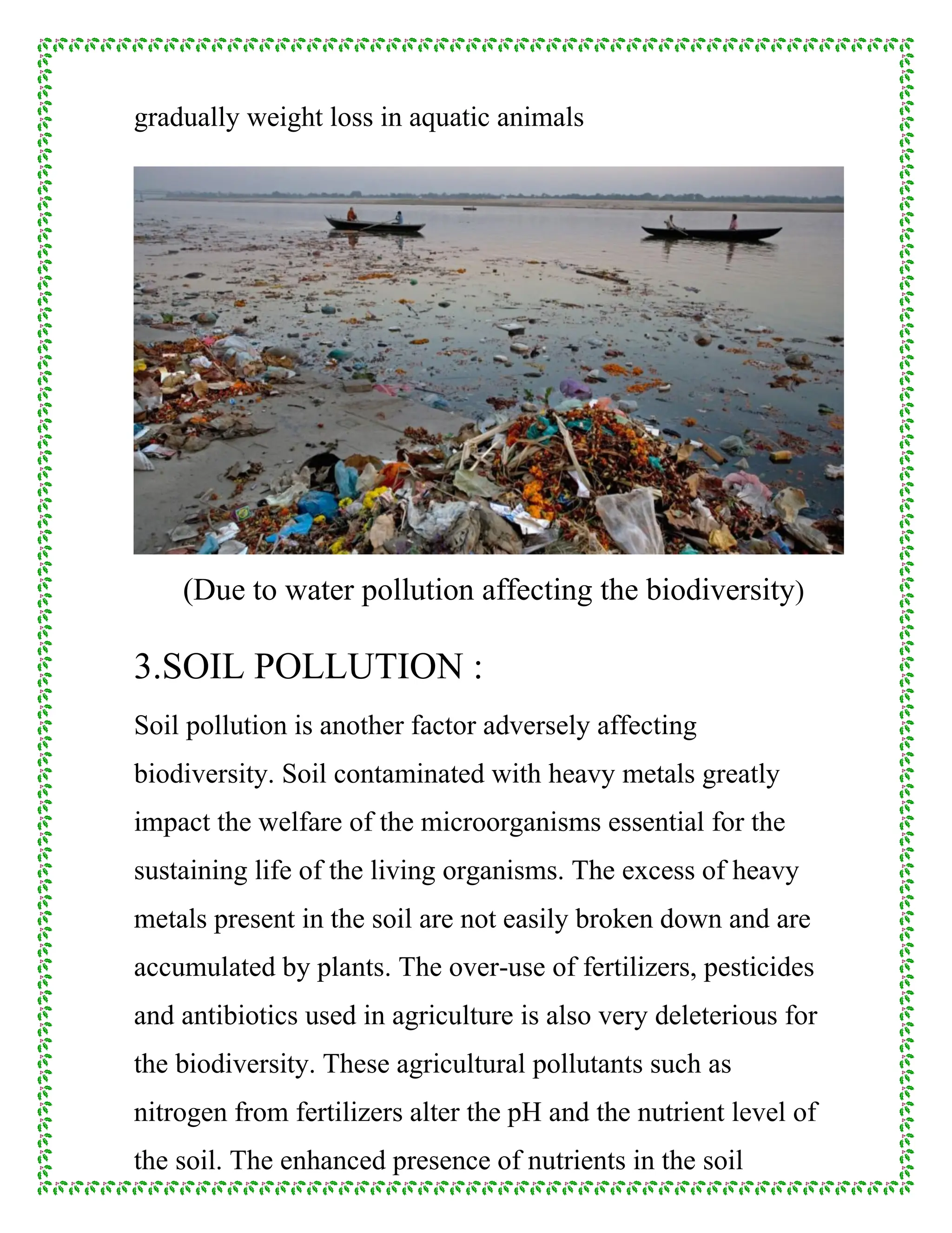 Biology project on Causes of loss of biodiversity | PDF