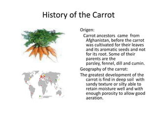 Santiago castro | PPTX | Gardening | Home & Garden