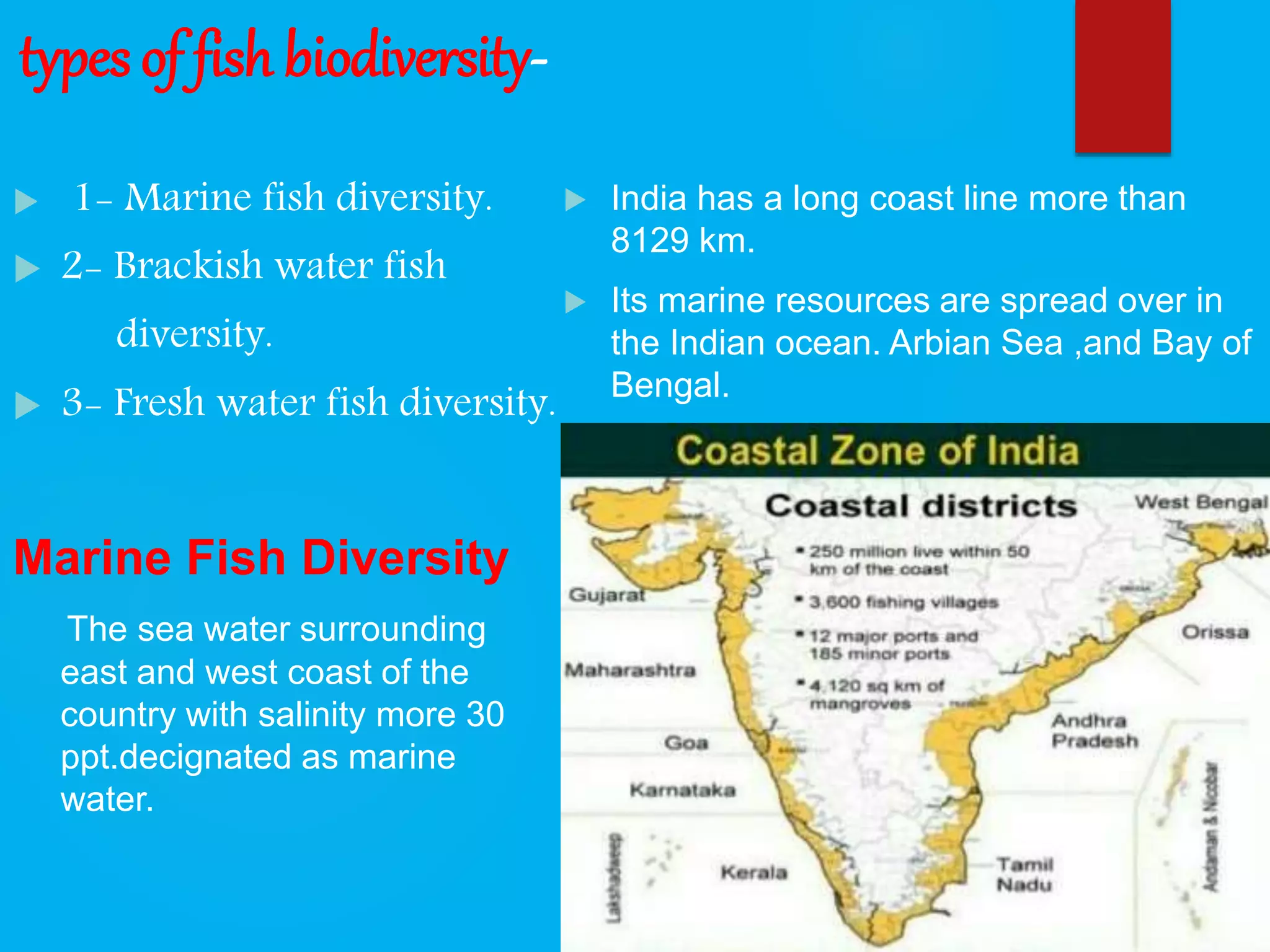Fish Biodiversity and Conservation | PPTX