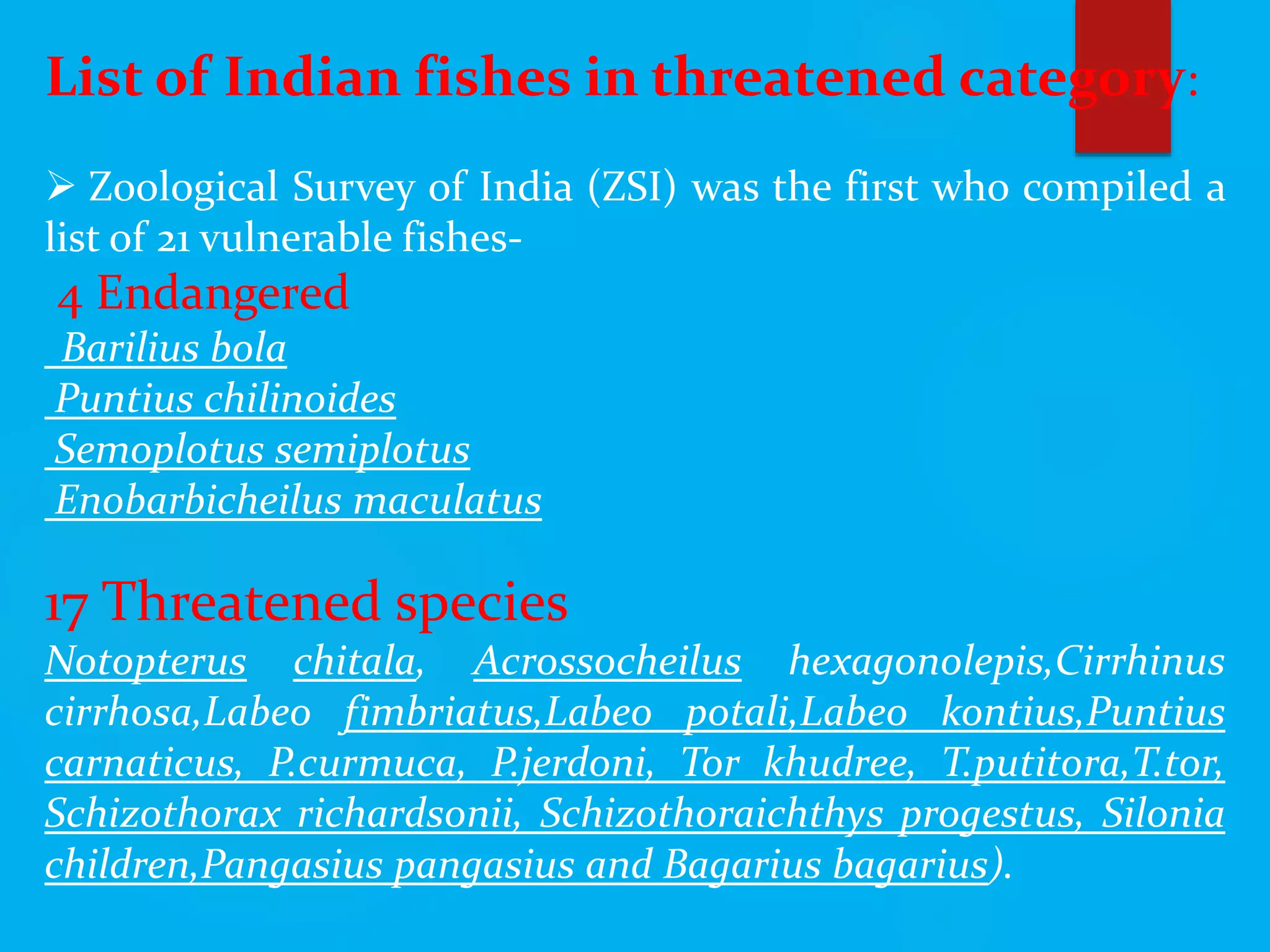 Fish Biodiversity and Conservation | PPTX