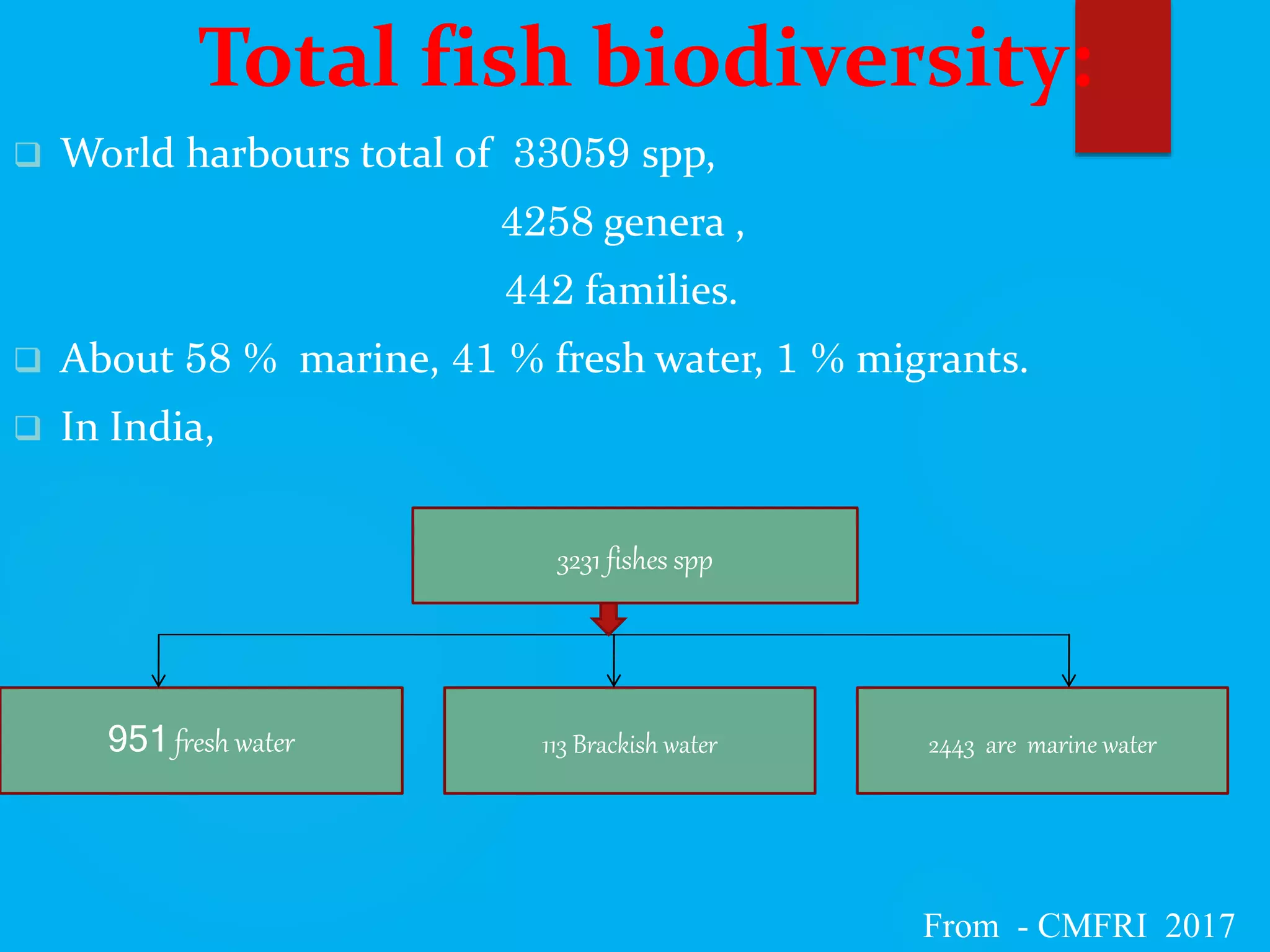 Fish Biodiversity and Conservation | PPTX