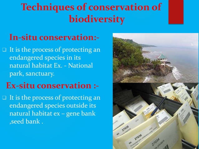 Fish Biodiversity and Conservation | PPTX