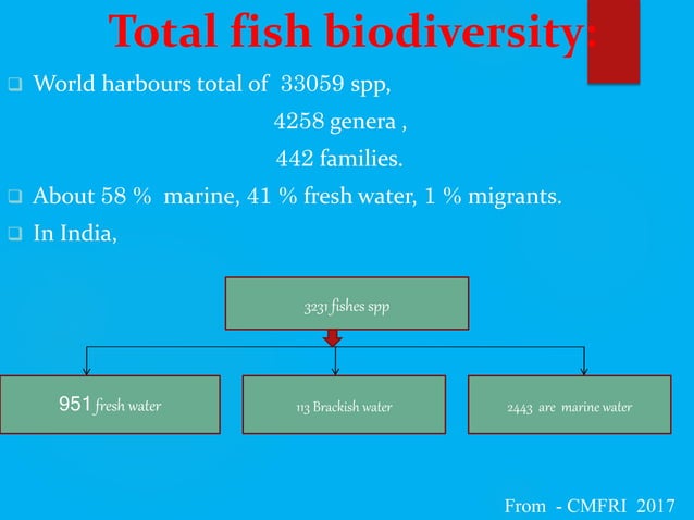 Fish Biodiversity and Conservation | PPTX