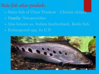 Fish Biodiversity and Conservation | PPTX