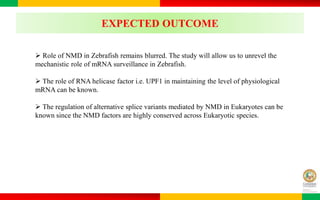 Studies on mRNA surveillance and its role in alternative splicing.pptx