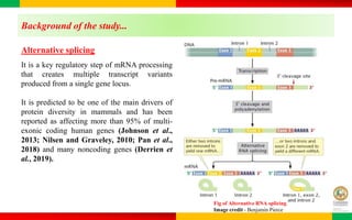 Studies on mRNA surveillance and its role in alternative splicing.pptx