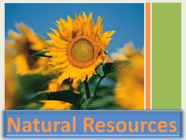 Natural Resources Presentation | PPTX