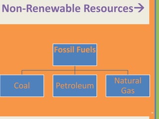 Natural Resources Presentation | PPTX