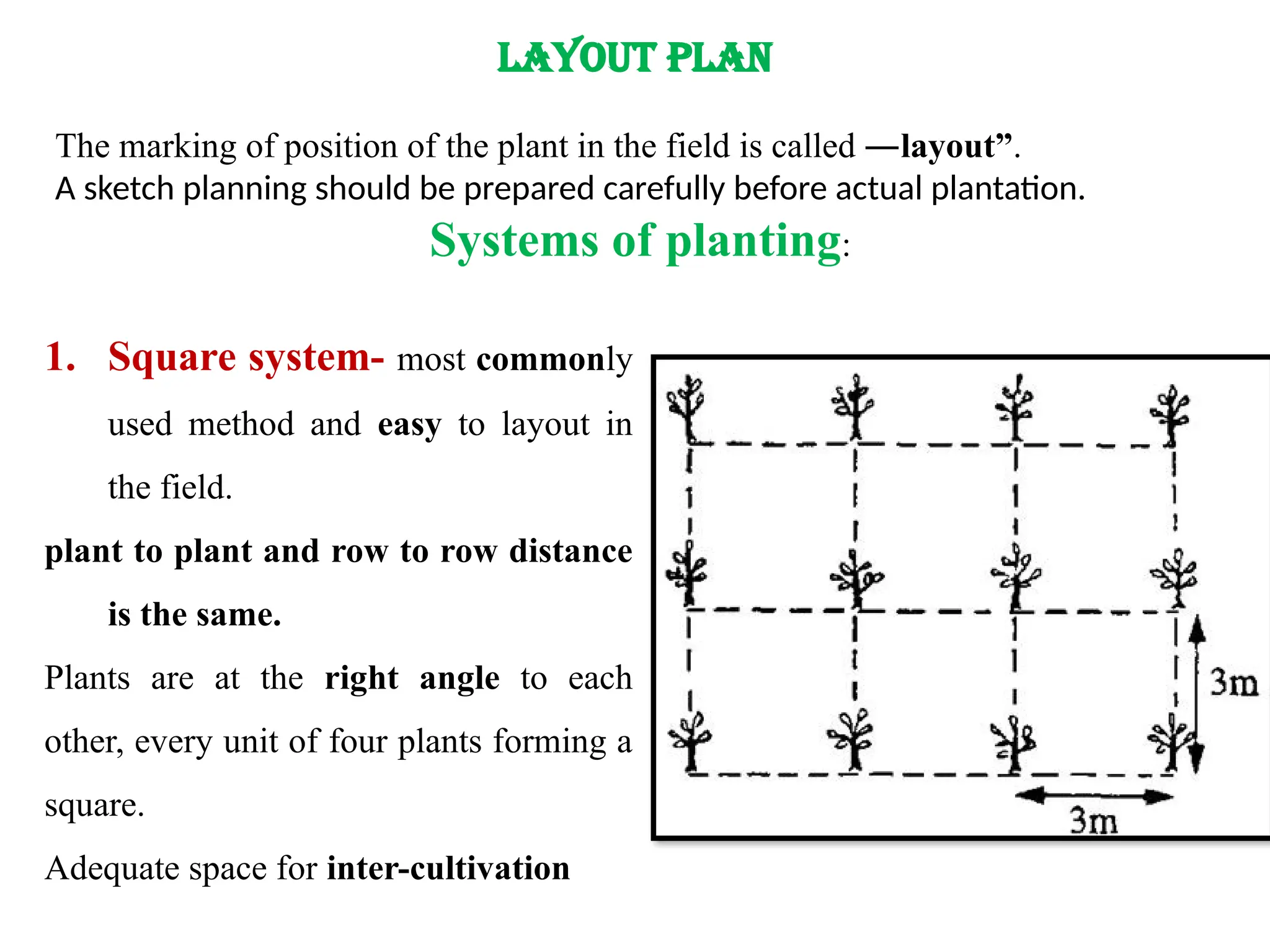 PLANTING SYSTEM OF LAYOUT ORCHARD pptx | PPTX