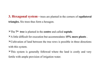 PLANTING SYSTEM OF LAYOUT ORCHARD pptx | PPTX