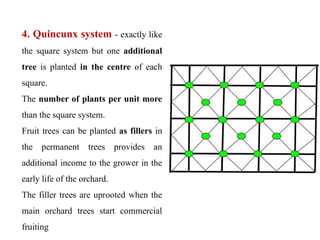 PLANTING SYSTEM OF LAYOUT ORCHARD pptx | PPTX