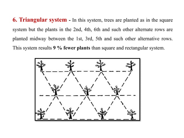 PLANTING SYSTEM OF LAYOUT ORCHARD pptx | PPTX