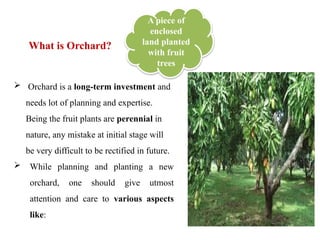PLANTING SYSTEM OF LAYOUT ORCHARD pptx | PPTX
