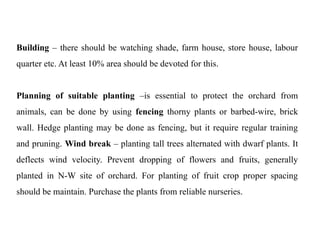 PLANTING SYSTEM OF LAYOUT ORCHARD pptx | PPTX