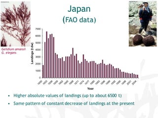 Global commercial exploitation of Gelidium resources | PDF