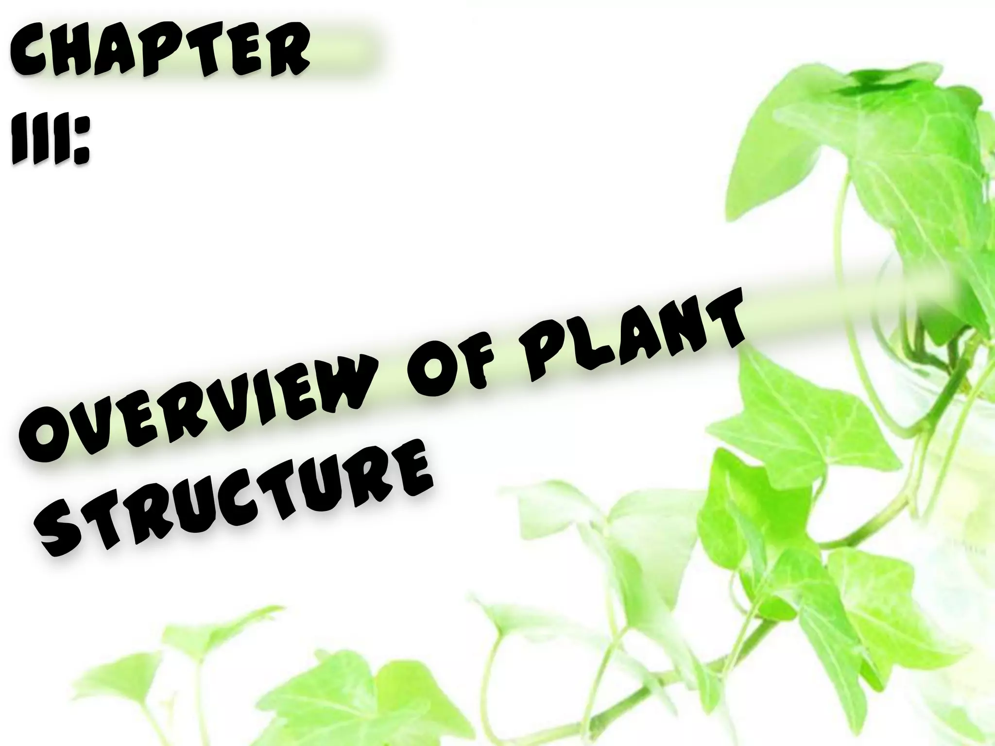 overview of plant structure | PPT