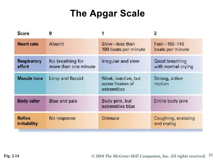 Apgar score of 7 - arcadestorm