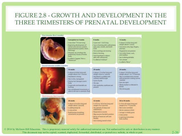 Santrock essentials 3e_ppt_ch02