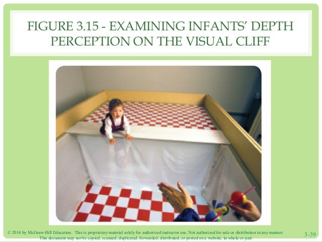 Santrock essentials 3e_ppt_ch03