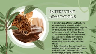 _The_Amazing_World_of_Animals_Habitats_and_Adaptations.pptx