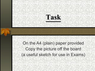 Sao Paulo An Example Of An Ledc | PPT