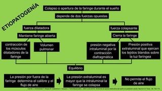 Sindrome de apnea obstructiva del sueño (SAOS) | PDF | Lung and ...