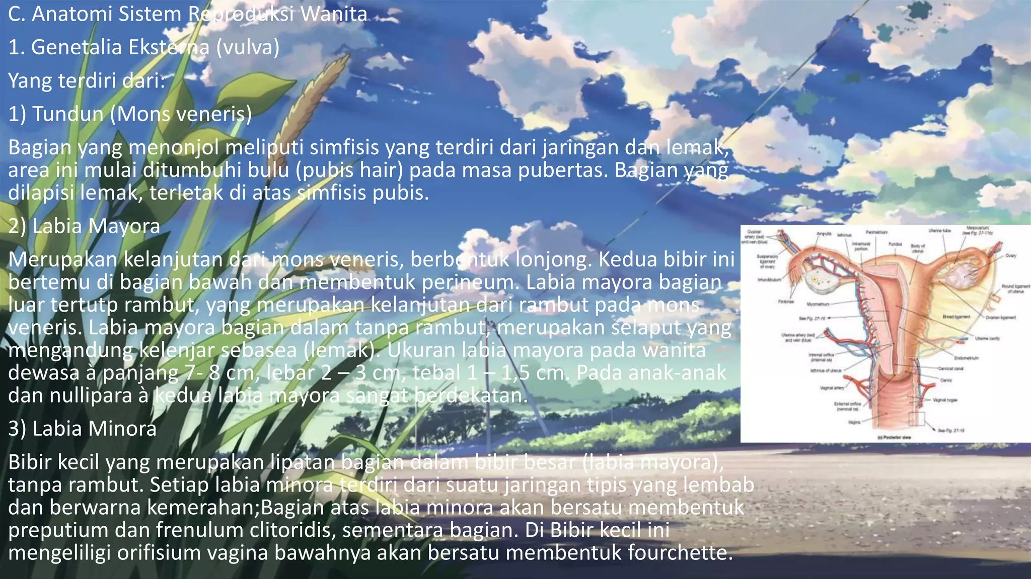 Sistem reproduksi manusia :v | PPTX