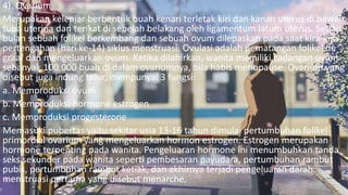 Sistem reproduksi manusia :v | PPTX