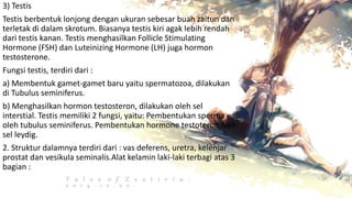 Sistem reproduksi manusia :v | PPT