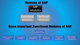 Sap- An Overview | PPTX