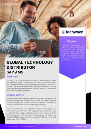 SAP-AMS-Support-For-Global-Technology-Distributor.pdf