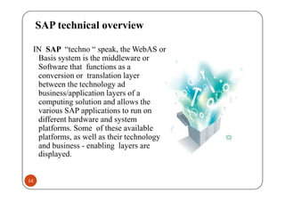 Sap an enterprise application | PDF