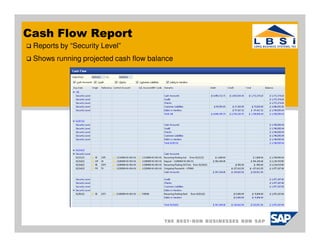 SAP Business-One-Cash-Flow-Reporting | PDF