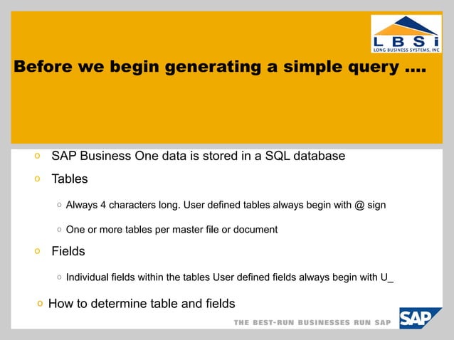 Sap Business One Queries Introduction Ppt