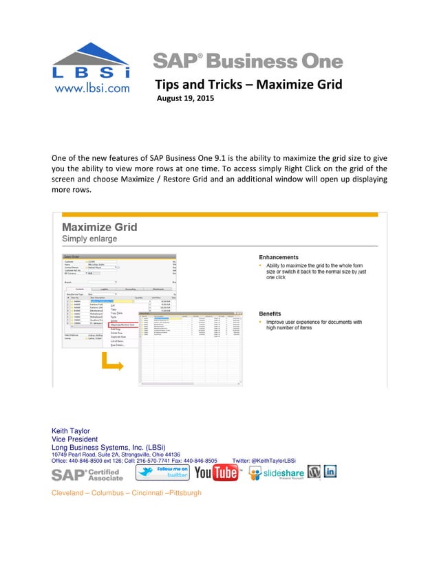 SAP Business One Tips and Tricks - Maximize Grid Size | PDF