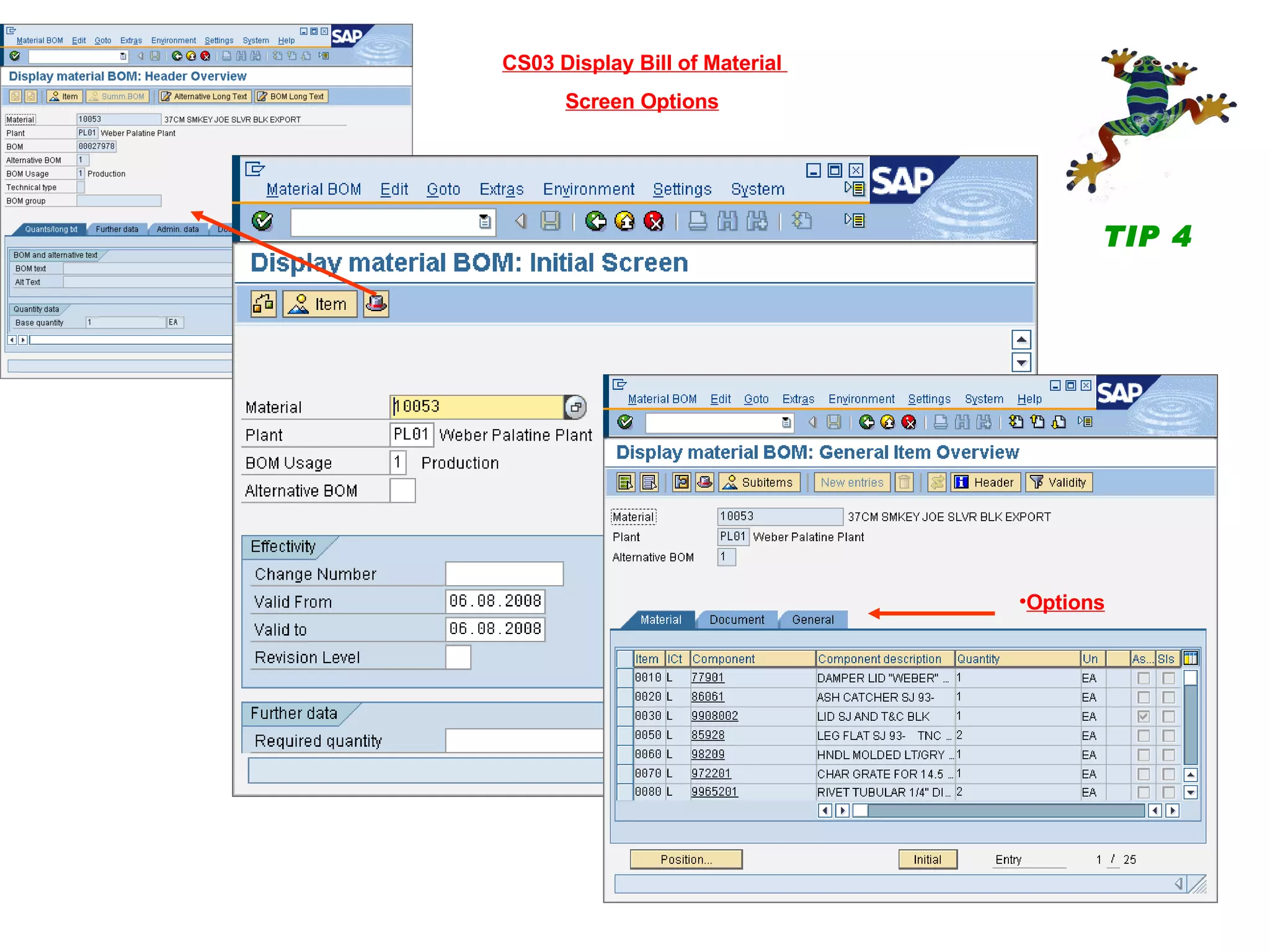 SAP Creating ECR | PPT