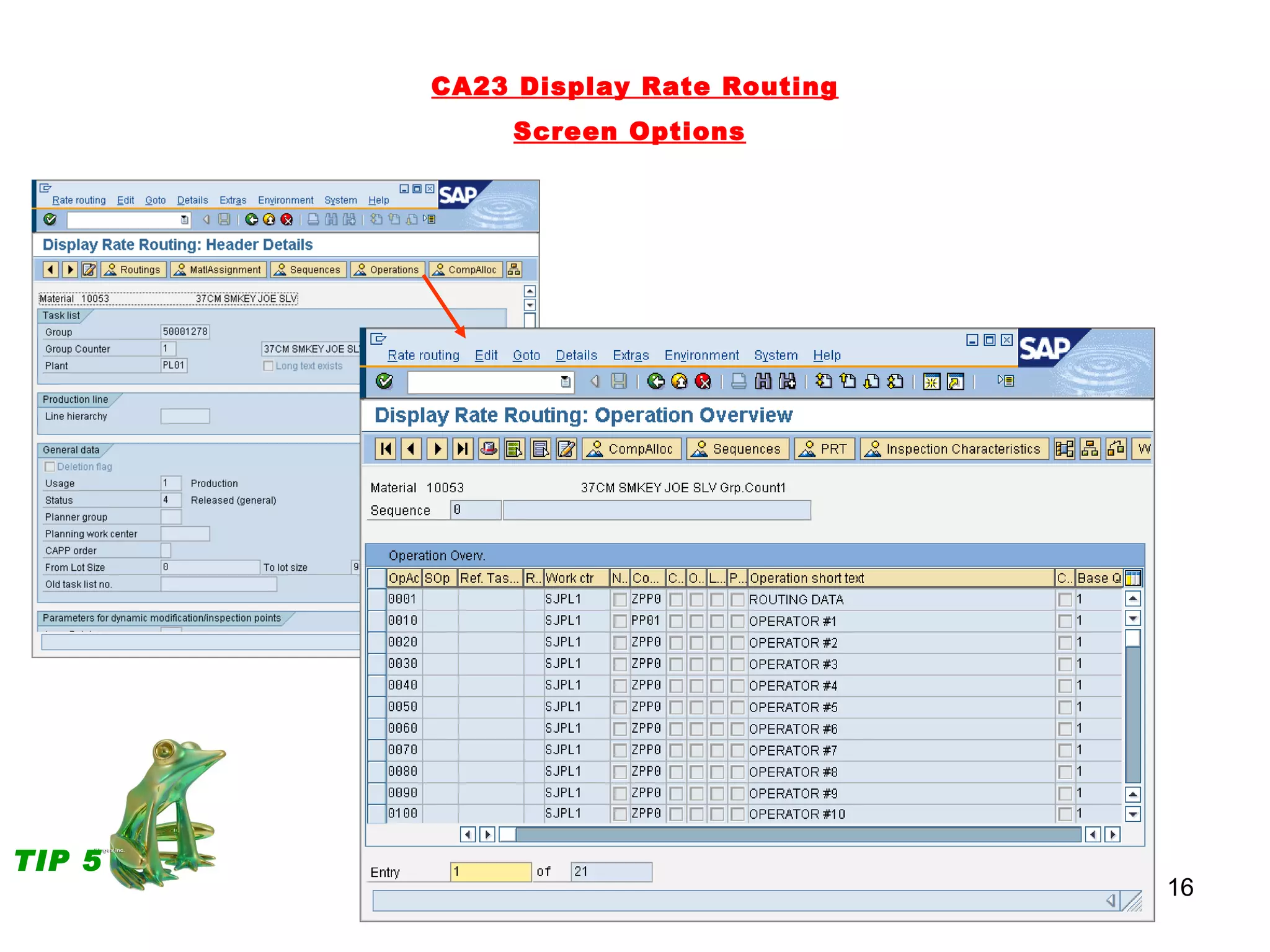 SAP Creating ECR | PPT
