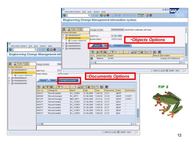 SAP Creating ECR | PPT | Technology & Computing