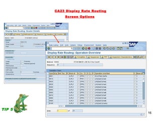 SAP Creating ECR | PPT