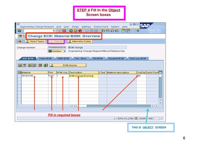 SAP Creating ECR | PPT | Technology & Computing