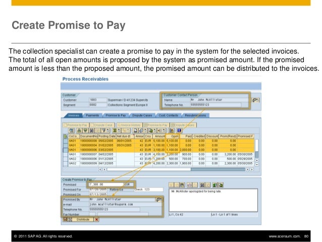 Sap credit-and-collection-management
