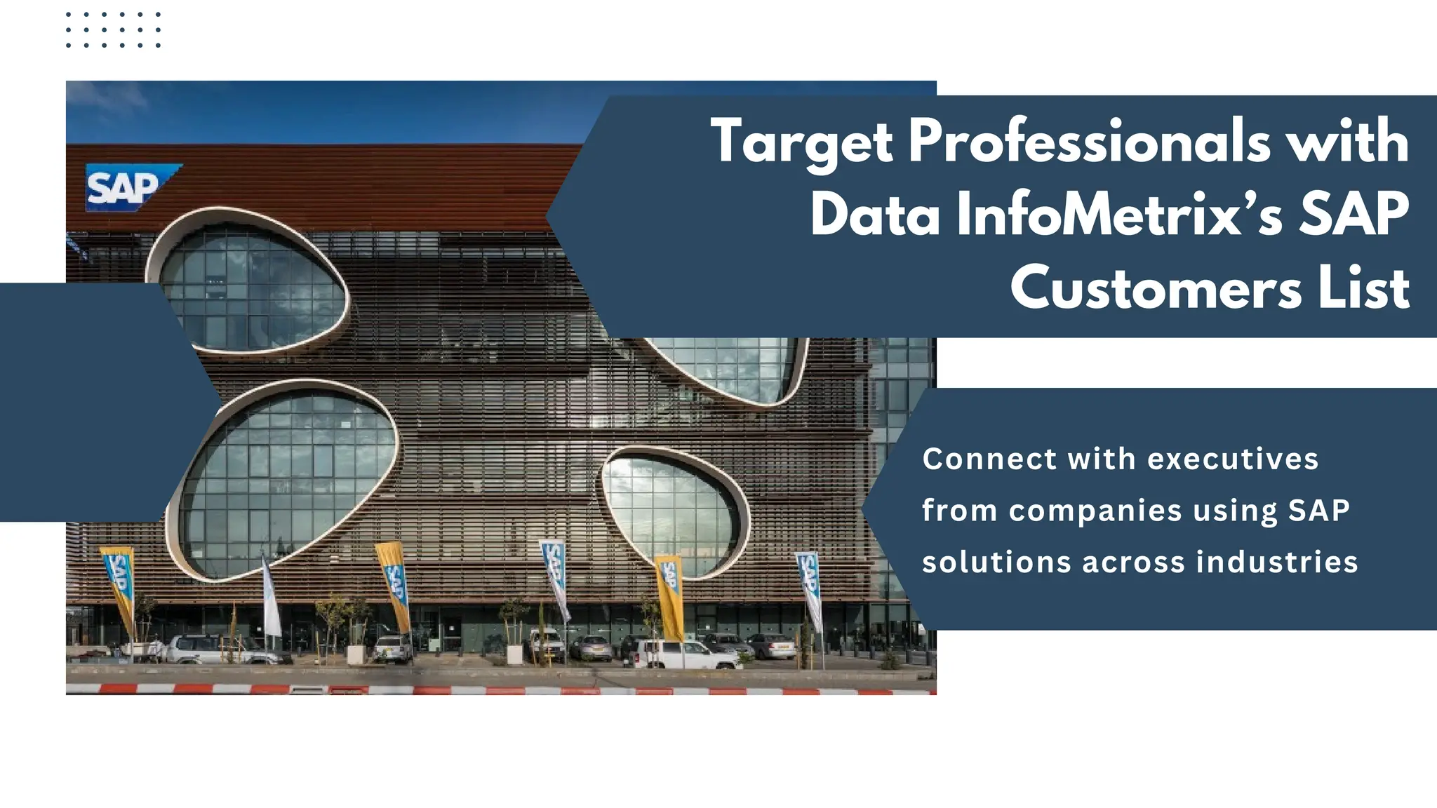 Data InfoMetrix Unveils Targeted SAP Customer List to Power Smarter B2B ...