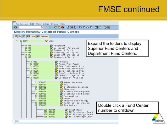 sap-fi-budget-balance-reports for sap fm.ppt