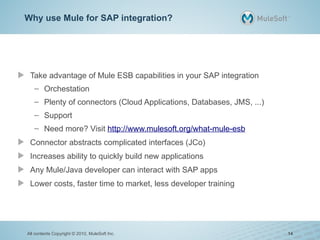 Mule Sap Integration | PDF